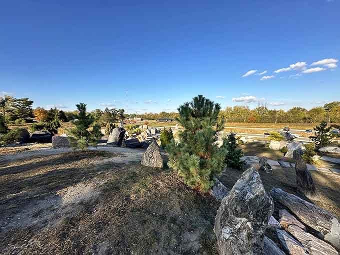 The landscape stretches out like a miniature mountain range, proving Michigan has more tricks up its geological sleeve.