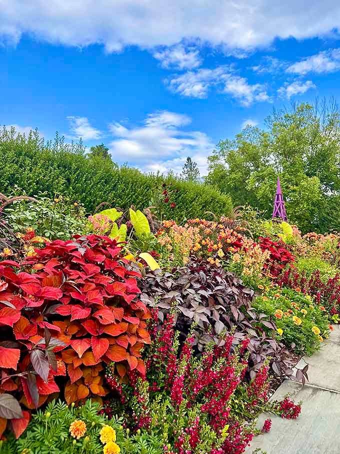 Mother Nature decided to use every crayon in the box, and honestly, we're not complaining about it.