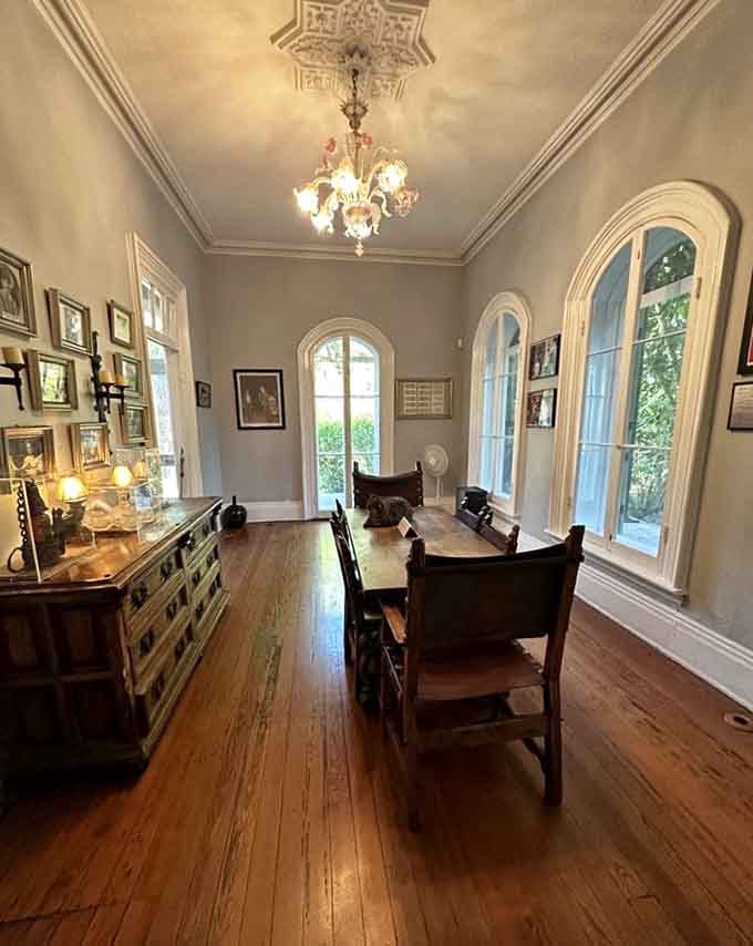 Notice the cat casually claiming the dining table like it's reviewing the seating arrangements for dinner.