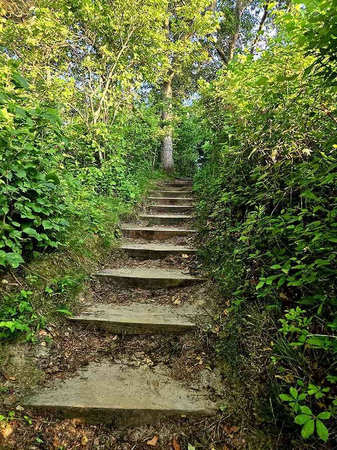 These rustic steps through The Knob's forest feel like climbing into a storybook, minus the talking animals.