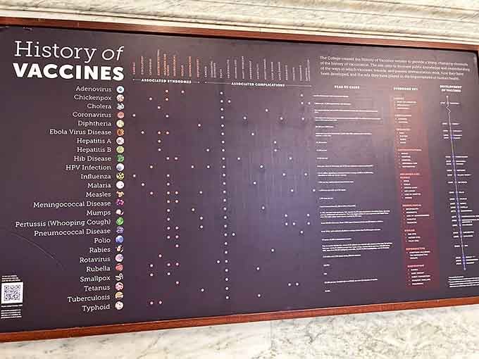 From polio to smallpox, this wall charts humanity's greatest medical victories&mdash;each dot represents countless lives saved by science.