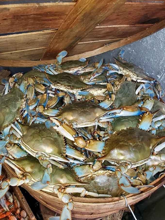 These beautiful blue crabs are fresher than your nephew's excuses for missing Sunday dinner, and infinitely more satisfying.