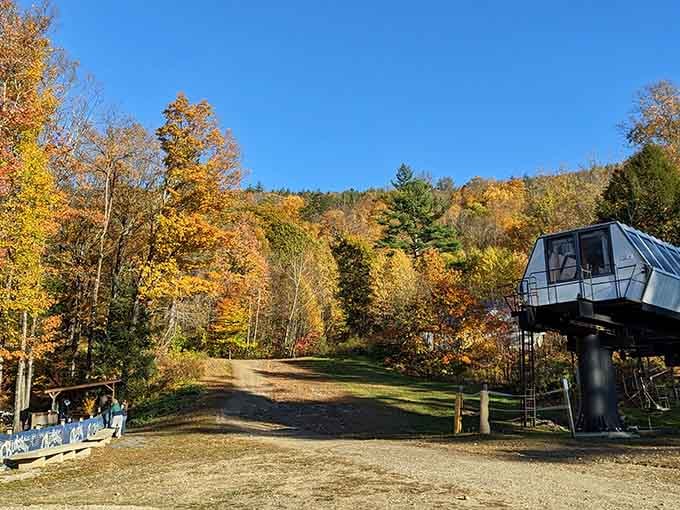 Fall foliage meets modern engineering in a marriage that somehow works better than most celebrity relationships.
