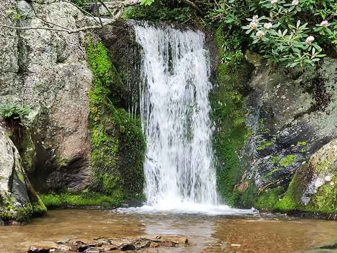 This angle captures the falls' elegant descent, like watching poetry written in water and stone.