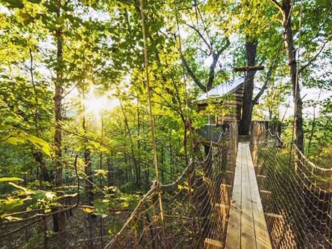 Sunlight filtering through leaves while you cross to your treehouse beats any hotel lobby entrance you've ever experienced.