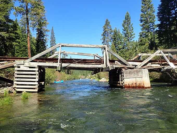 Every bridge you pass under marks another chapter in your floating story, like bookmarks in nature's novel.