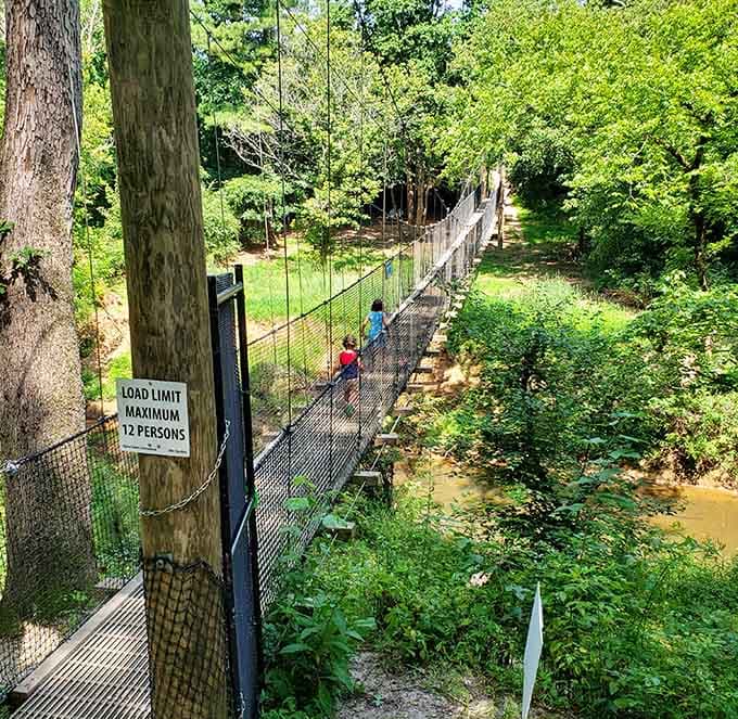 Nothing says family bonding quite like conquering a suspension bridge together, one careful step at a time.