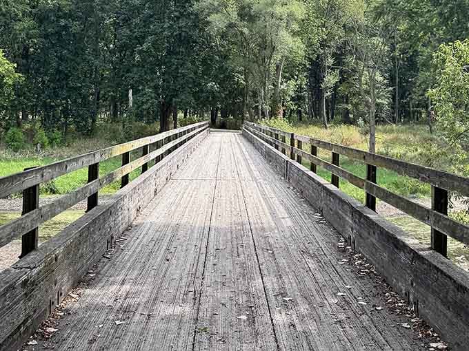 This wooden bridge stretches into the forest like an invitation you'd be foolish to decline.