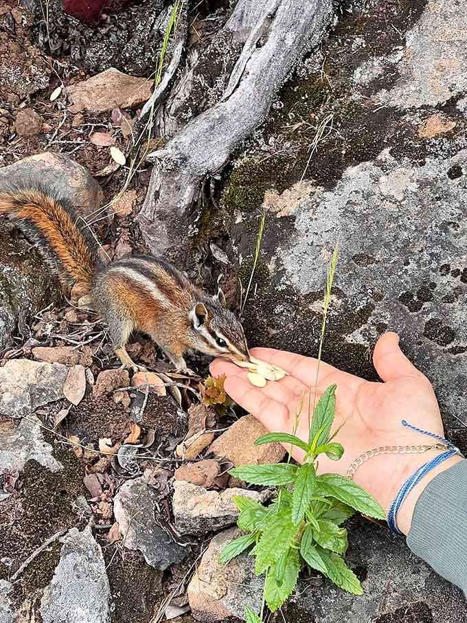 When local wildlife gets this friendly, you know you've found a special place indeed.
