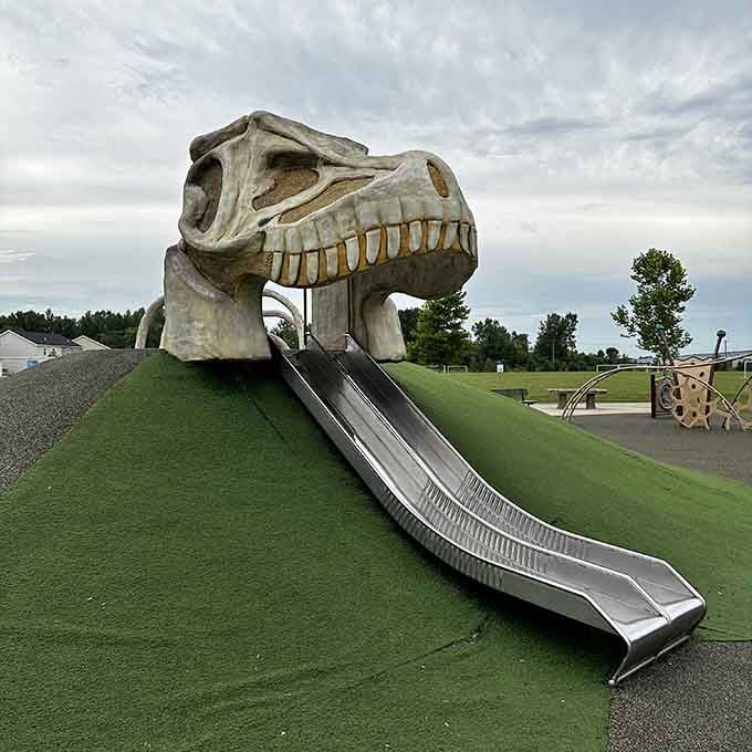 The dinosaur skull slide where children literally get eaten and emerge victorious, laughing all the way down those shiny metal slopes.