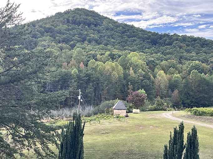 Mountains, vineyards, and not a care in the world; this is what retirement dreams are made of, folks.