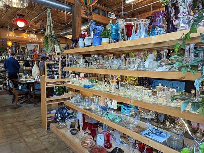 Shelves of glassware gleaming like a rainbow caught in crystal, each piece ready for its second act.