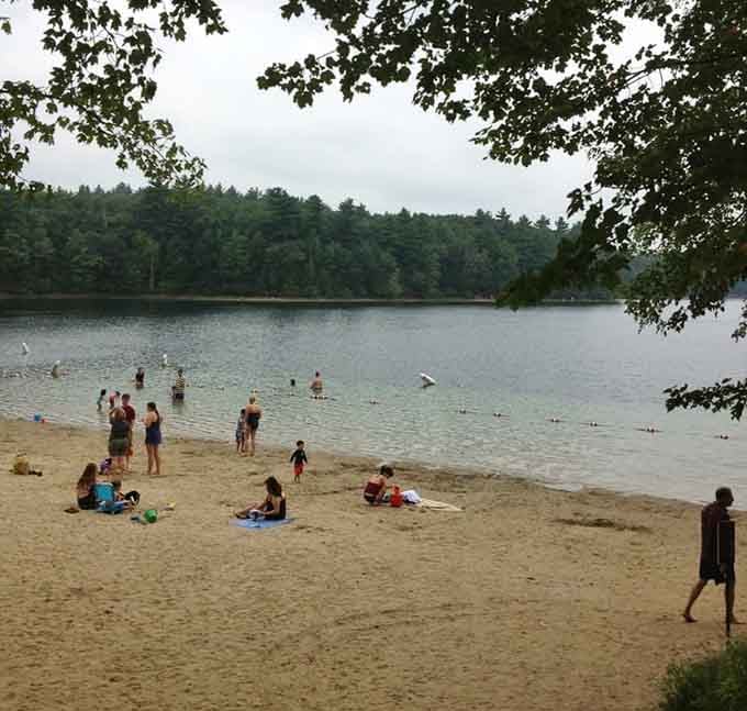 Nothing says "perfect beach day" quite like crystal-clear glacial water surrounded by trees that have seen some things.