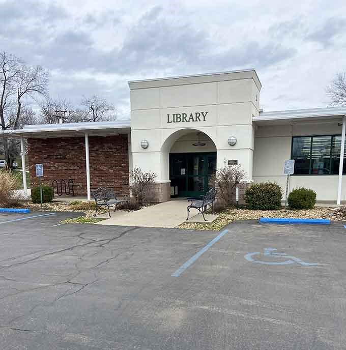 Libraries remain the original search engines, no Wi-Fi password required, just curiosity and a willingness to turn actual pages.