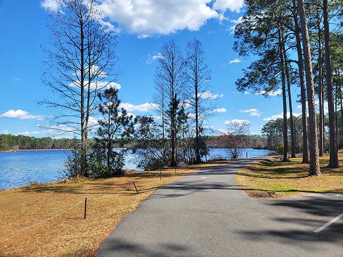 Lakeside paths at Laura S. Walker wind through pine forests, offering peaceful escapes without the country club fees.