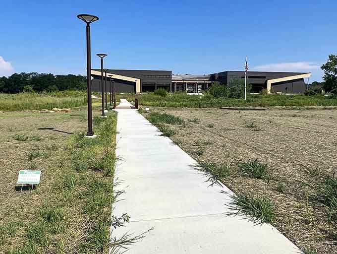 The walkway to knowledge stretches across reclaimed prairie, where wildflowers now bloom where industrial buildings once stood.