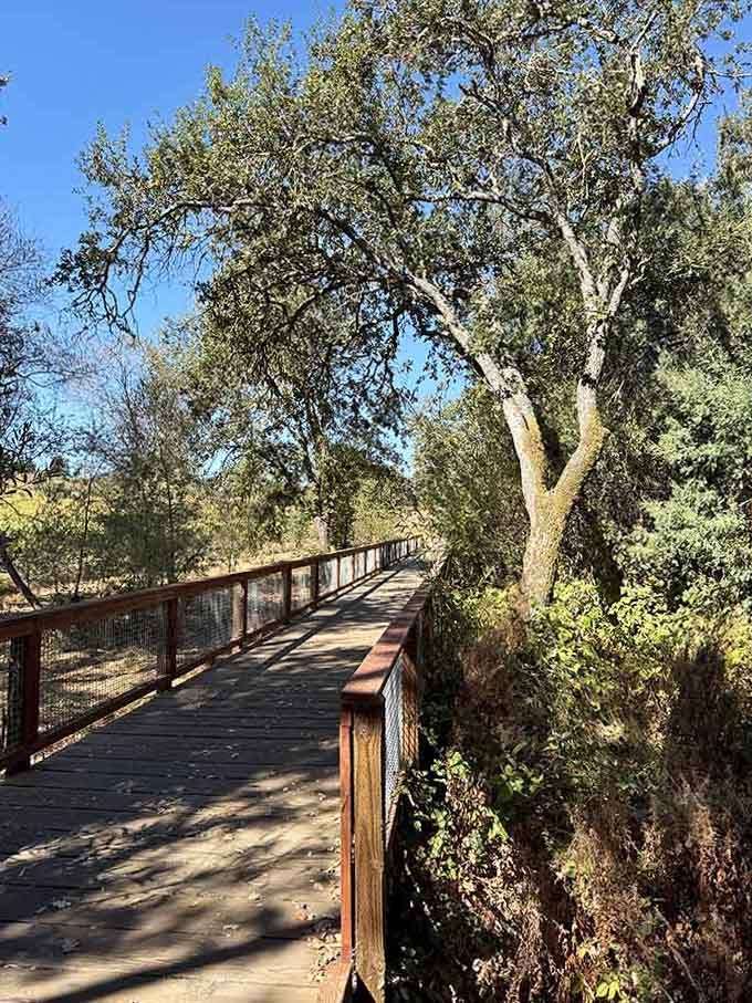 Sunlight dances across this peaceful bridge, inviting you into a world where worries simply evaporate.