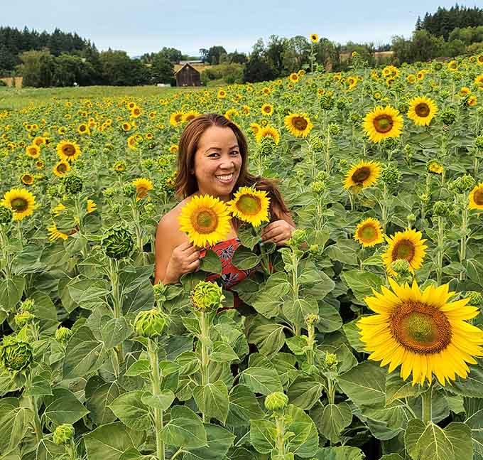 Pure joy captured mid-bloom, where cutting your own sunflowers feels like winning nature's happiest lottery every time.