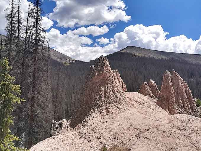 Watch hoodoos in their awkward teenage phase, still developing those distinctive shapes that'll wow visitors for centuries to come.