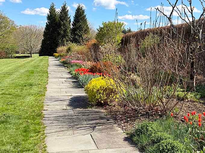 Spring bulbs lining walkways like nature's own welcome committee, minus the awkward small talk.