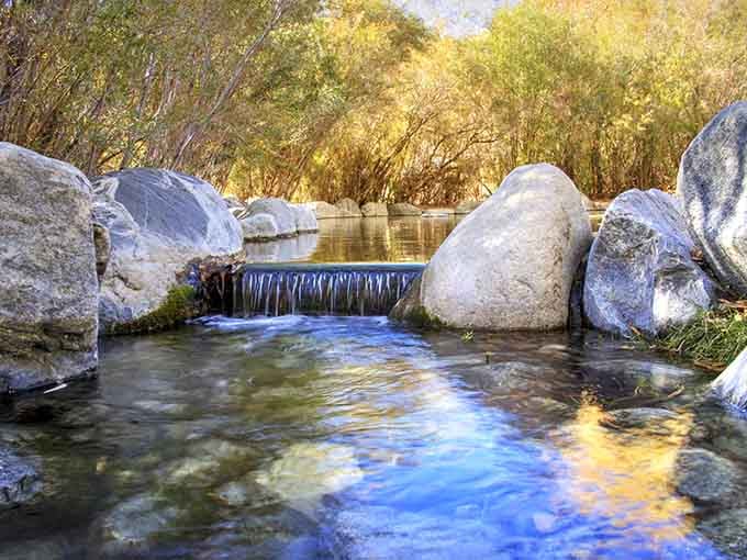 Golden light dancing on flowing water creates the kind of scene that makes you forget your phone exists.