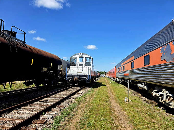 This isn't a museum display; these beauties actually roll down the tracks carrying delighted passengers through the Northwoods.