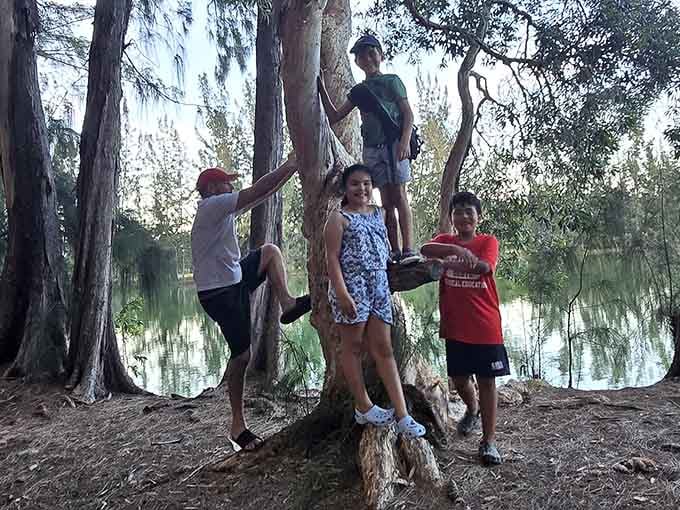 Families discover that the best playground equipment is actually just a really interesting tree and some imagination.