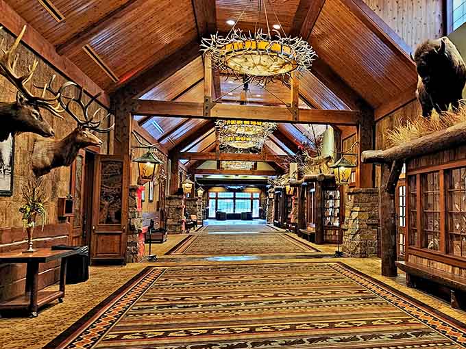 This rustic lodge-style hallway feels like stepping into a nature documentary, minus the British narrator's soothing voice.