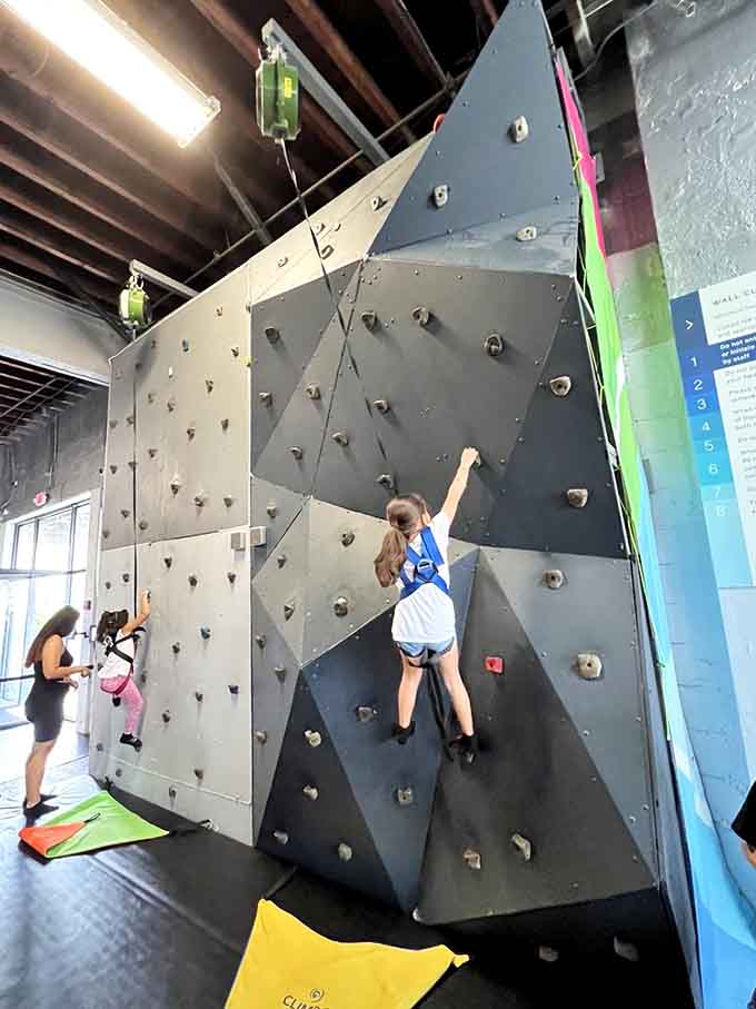 She's scaling that wall with the determination of someone who just spotted the last piece of chocolate cake.