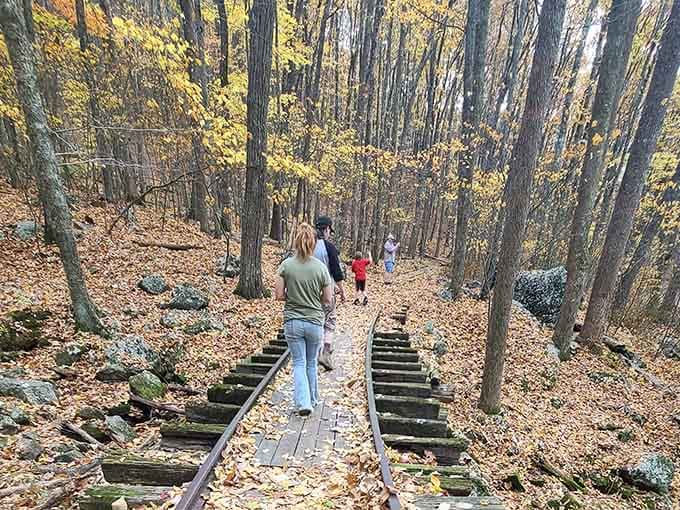 Fall foliage turns every hiker into a photographer, whether they brought a camera or not.