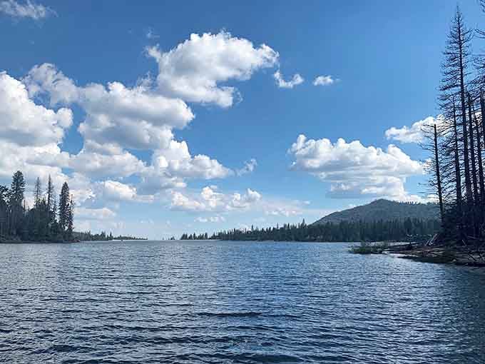 Those clouds reflected in the water look like a Bob Ross painting come to life, happy little trees included.