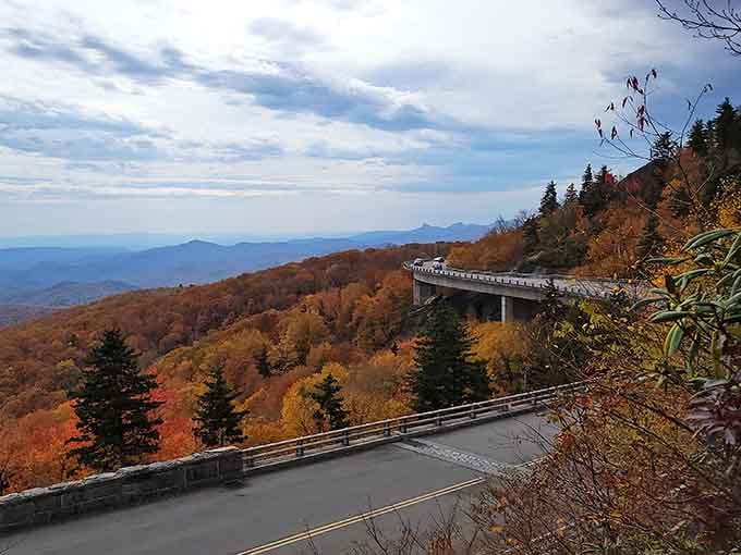 The Blue Ridge Parkway in autumn glory, where every curve reveals another masterpiece painted in rust and amber.