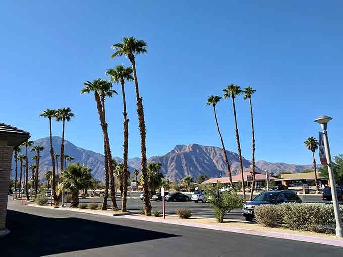 Those palm trees swaying against dramatic desert mountains create a scene straight out of a classic Western film.