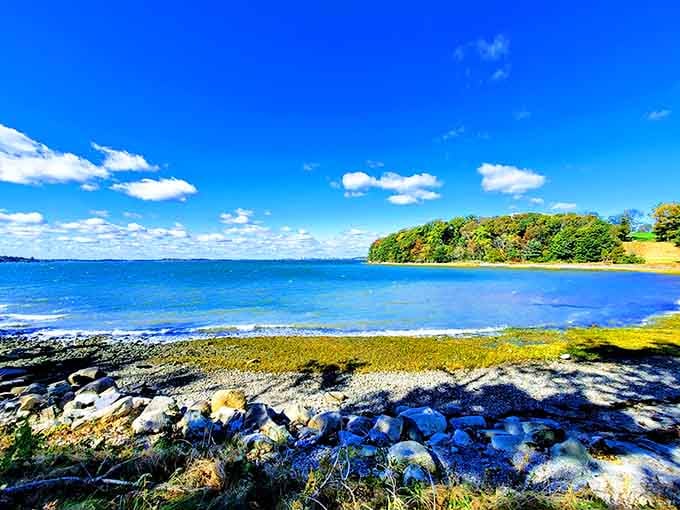 The harbor's brilliant blue waters shimmer with possibility, inviting kayakers to explore nature's peaceful island sanctuary.