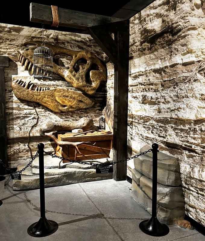 Behind weathered wood and dramatic lighting, this massive skull guards mysteries that would make Indiana Jones take notes carefully.