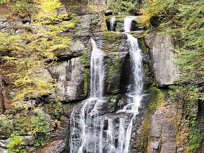 Twin waterfalls plunge down the rocky gorge, framed by golden foliage that glows like nature's own spotlight.