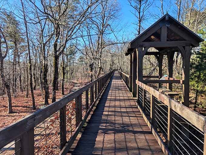 This bridge stretches through the treetops, offering a peaceful walk above the forest floor with views for days.