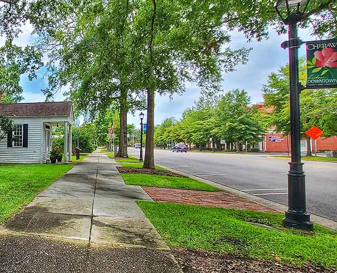 Tree-canopied streets so inviting you'll want to take a leisurely stroll just to see where they lead.
