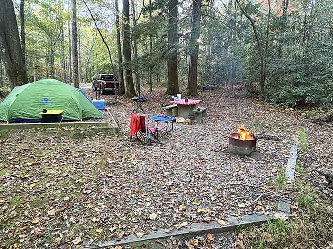 A crackling fire, a green tent, and a carpet of autumn leaves &mdash; Cherry Hill is fall camping at its most gloriously honest.