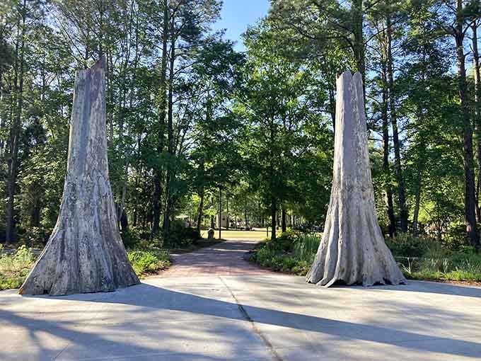 Twin cypress giants frame your entrance to paradise, their massive trunks proving good things really do come in pairs.