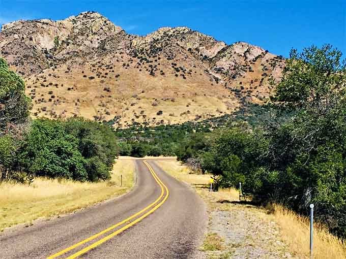Golden grasslands stretch toward distant mountains where the road curves gently through nature's quiet beauty and solitude.