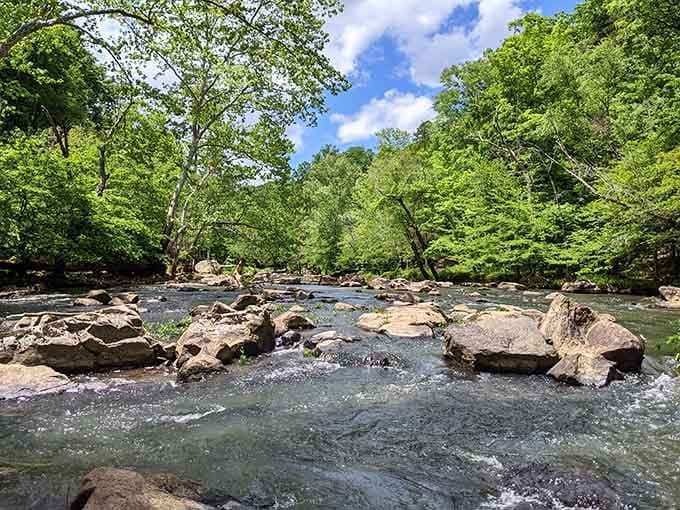 Boulder-strewn river pools stretch beneath a canopy of green, inviting you to claim your favorite sunny rock.
