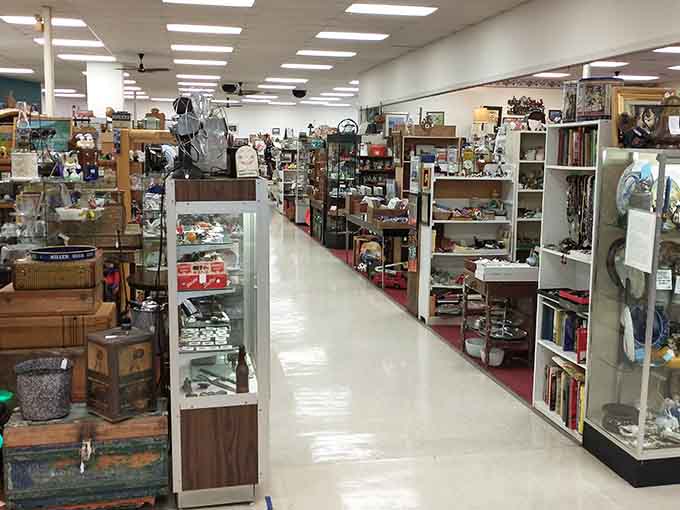 Bright fluorescent lighting ensures you won't miss a single treasure hidden among these organized aisles.
