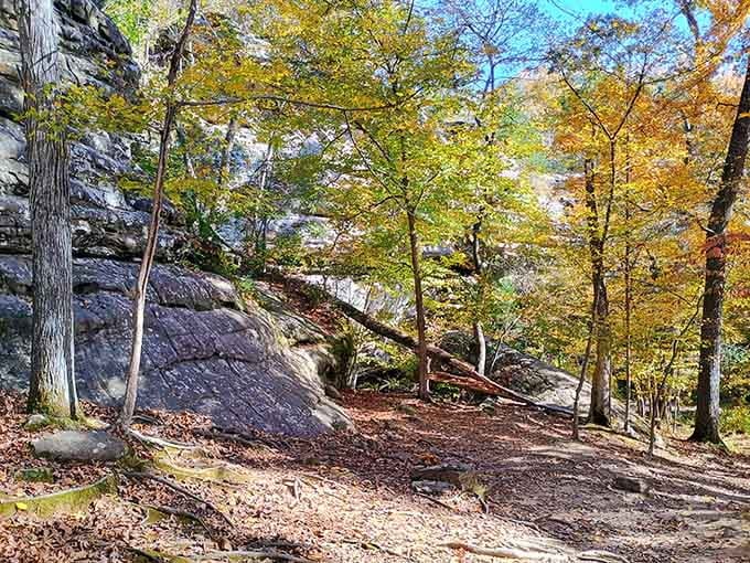 Autumn paints these forest trails in warm hues, where massive rock formations peek through the trees like ancient secrets revealed.