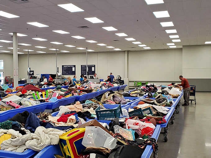 Dozens of dedicated shoppers dig through overflowing blue bins with the focused energy of people who know exactly what they're after.