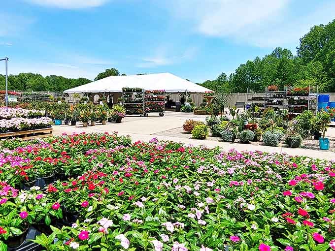 Rows of vibrant flowers stretch toward white tents, offering endless possibilities for your own garden dreams at home.