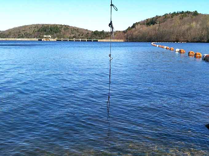 The calm waters and serene view understand exactly what retirement should look like on a perfect afternoon.
