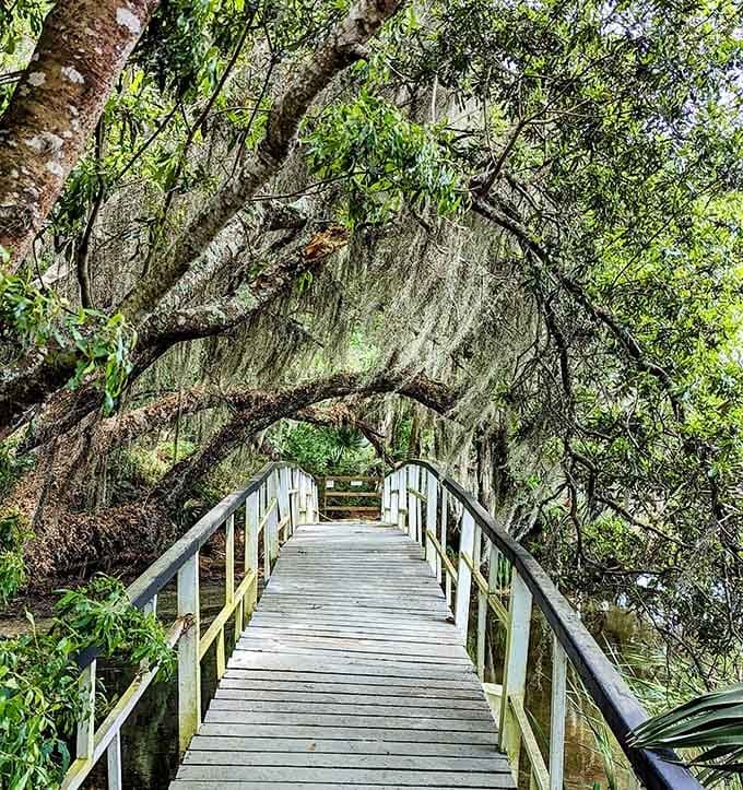 Spanish moss cascades like nature's beaded curtains over this wooden bridge leading to peaceful garden discoveries.