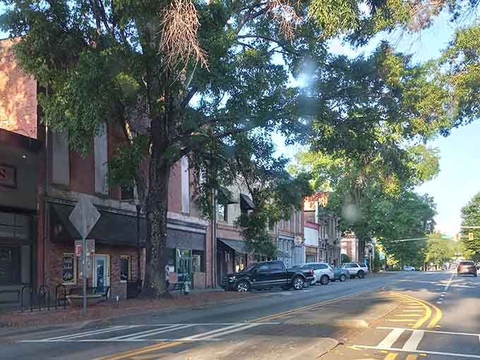 Golden hour light filters through the trees, turning this quiet Milledgeville street into something Norman Rockwell would paint.