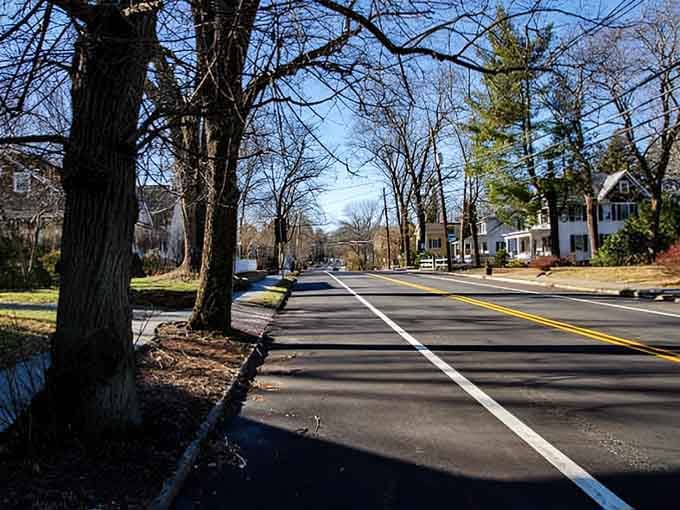 Tree-lined streets and classic homes create the kind of neighborhood where Sunday drives were practically invented for.